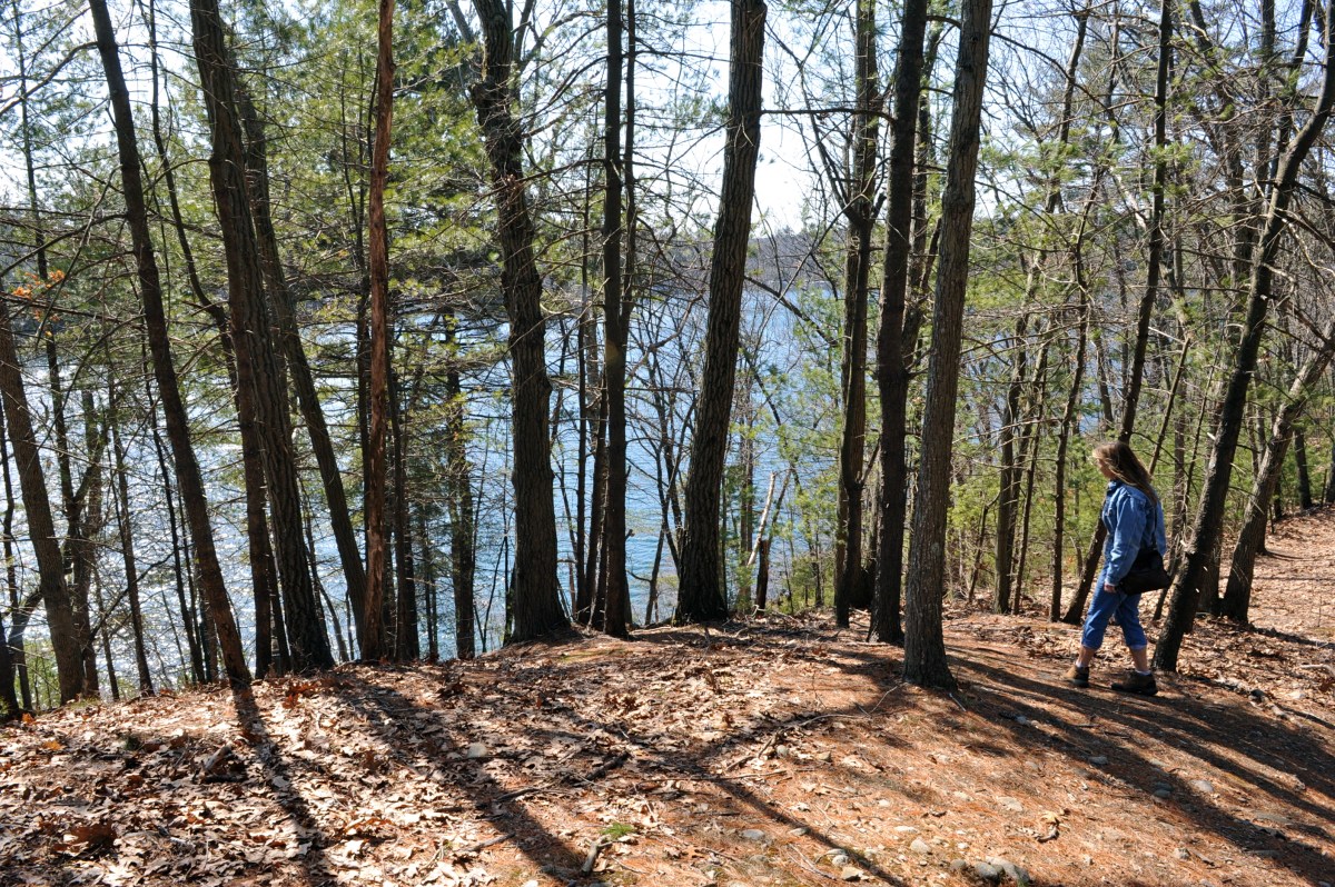 Favorites – Jennifer Graham